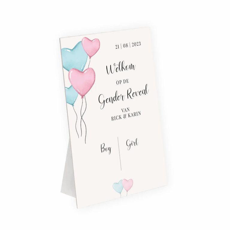 Gender Reveal Photo Booth Props DIY 🍼💗 - Complete Set